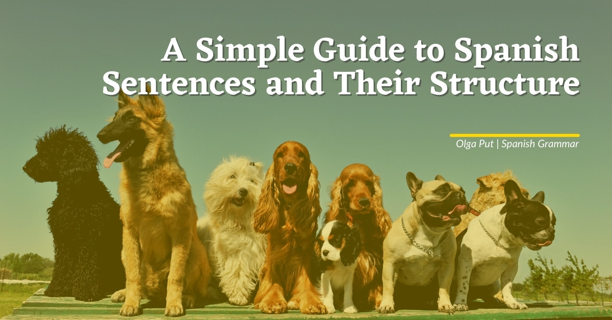 A Simple Guide To Spanish Sentence Structure And Order
