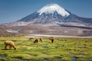 A Beginner’s Guide to Chile: Culture, History, Language, and More