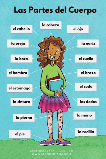 25 Incredible Spanish Classroom Decor Ideas for Educators