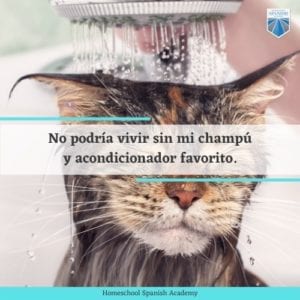 A Complete Vocabulary Guide to the Bathroom in Spanish