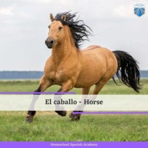 Spanish Animals for Preschoolers