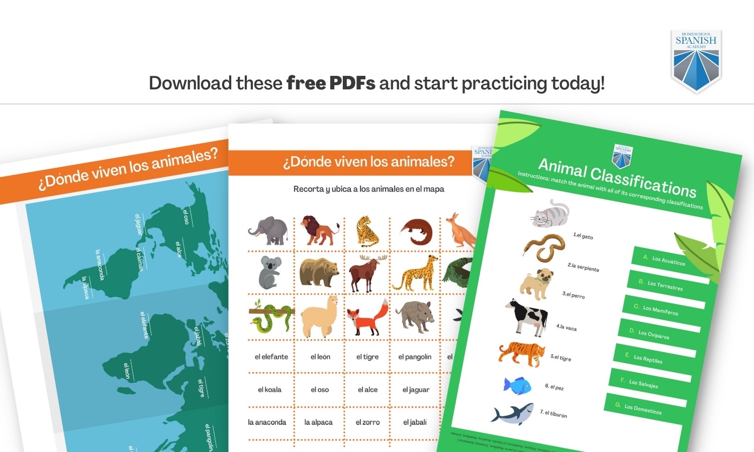 200+ Names of Animals in Spanish: Vocabulary for Everyone