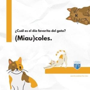 Top 20 Best Spanish Jokes for Kids