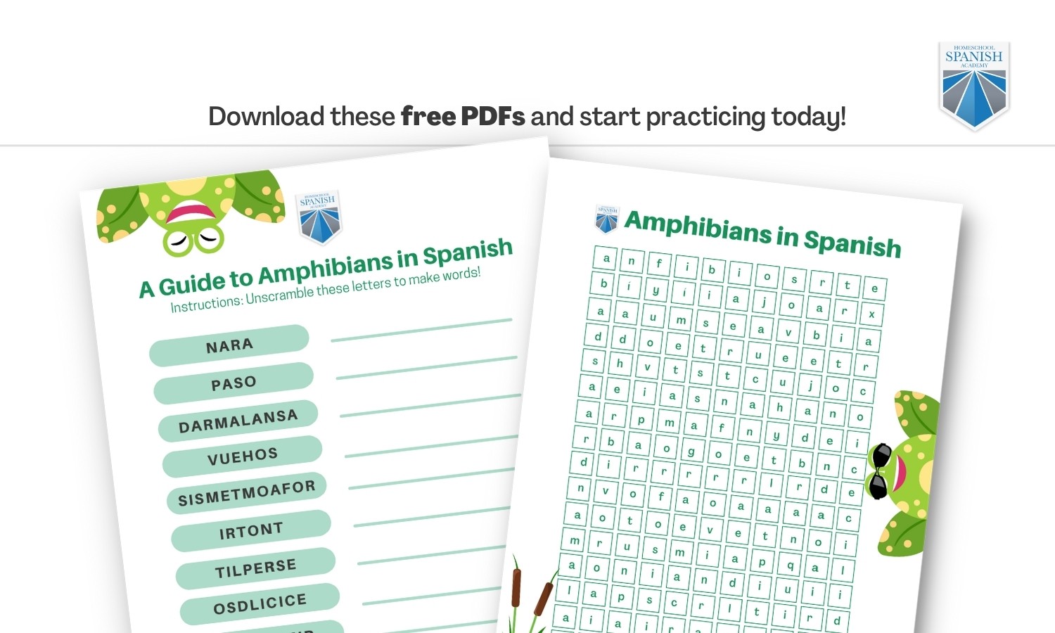 Science of Amphibians (Free Spanish Lessons for Kids)