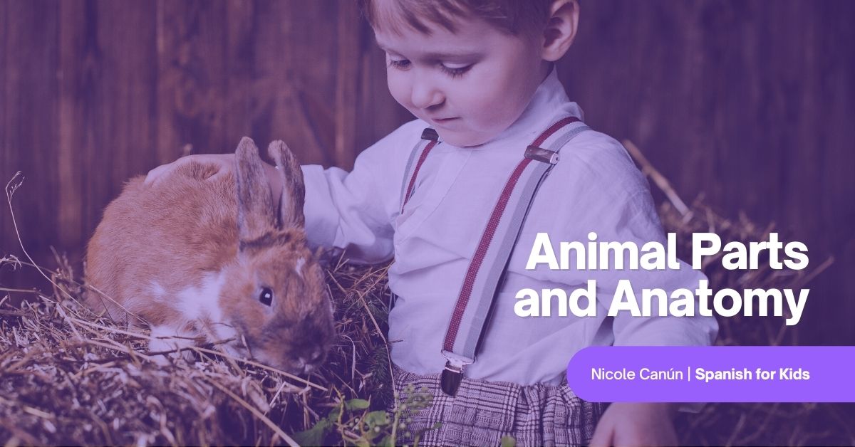 Animal Parts and Anatomy (Free Spanish Lessons for Kids)
