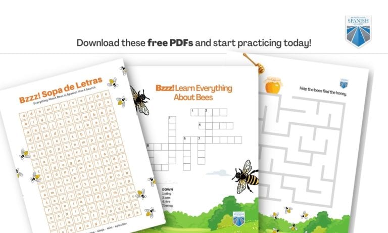 Bzzz! Learn Everything About Bees in Spanish