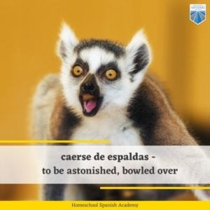 Caerse Conjugation: Free Spanish Lesson, Quiz, and PDF