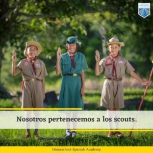 How to Use the Verb 'Pertenecer' in Spanish