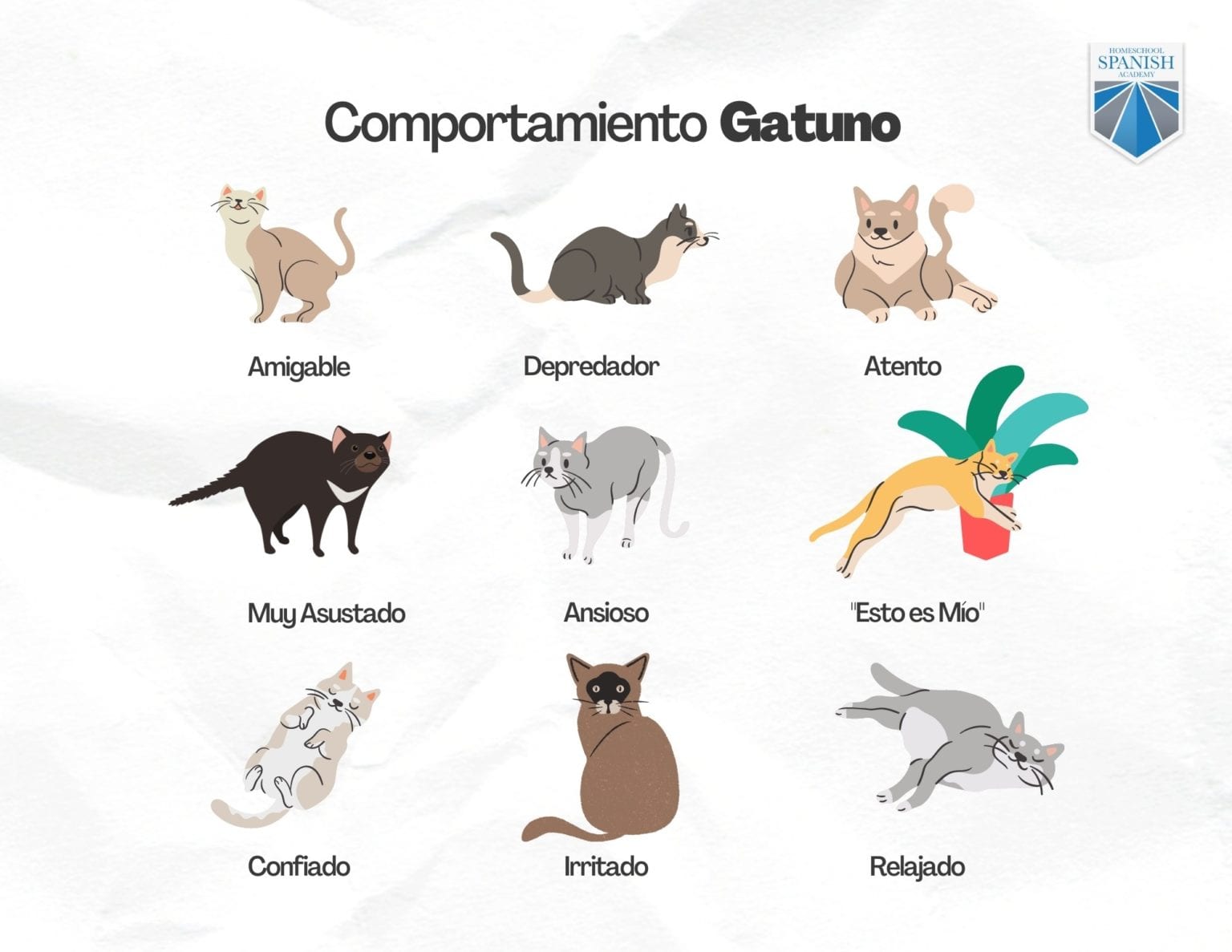 Miau! The Ultimate Vocabulary Guide to Your Cat in Spanish