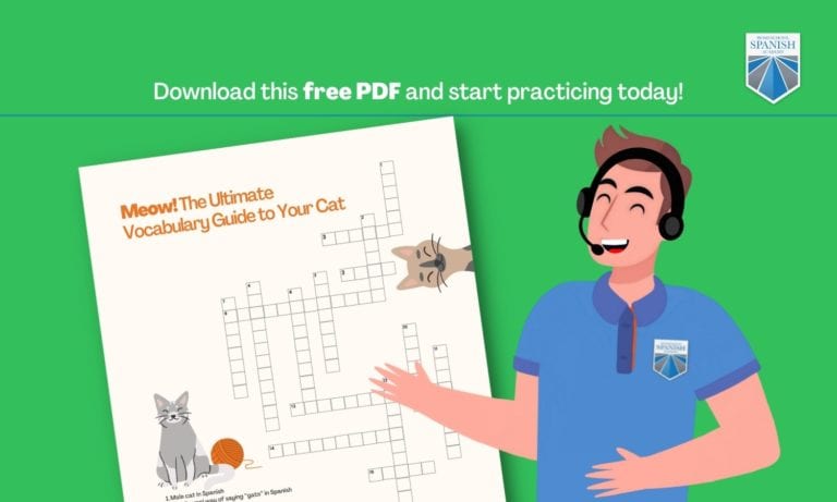 Miau! The Ultimate Vocabulary Guide to Your Cat in Spanish