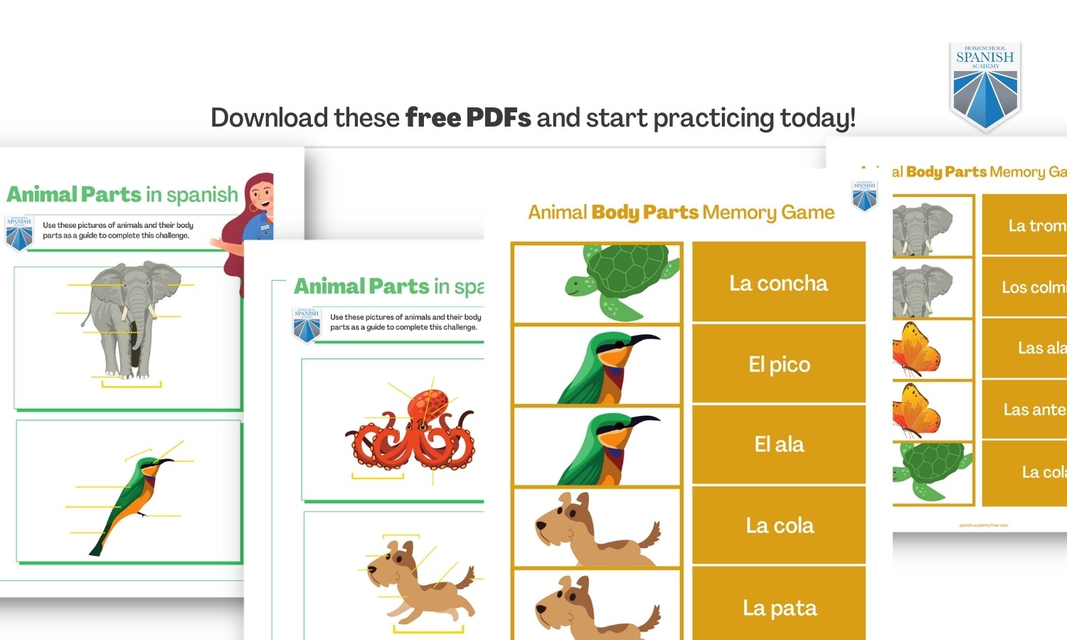 Animal Parts and Anatomy (Free Spanish Lessons for Kids)