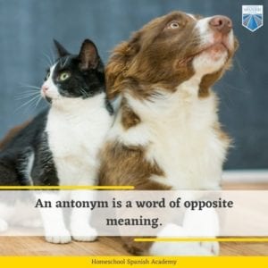 Your Ultimate Guide to Spanish Antonyms