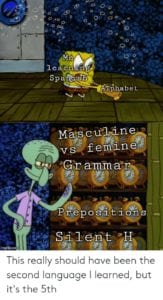 20 Hilarious Spanish Grammar Memes to Make You Laugh (and Learn)