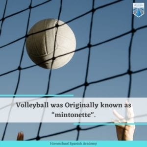 All You Need to Know About Volleyball in Spanish
