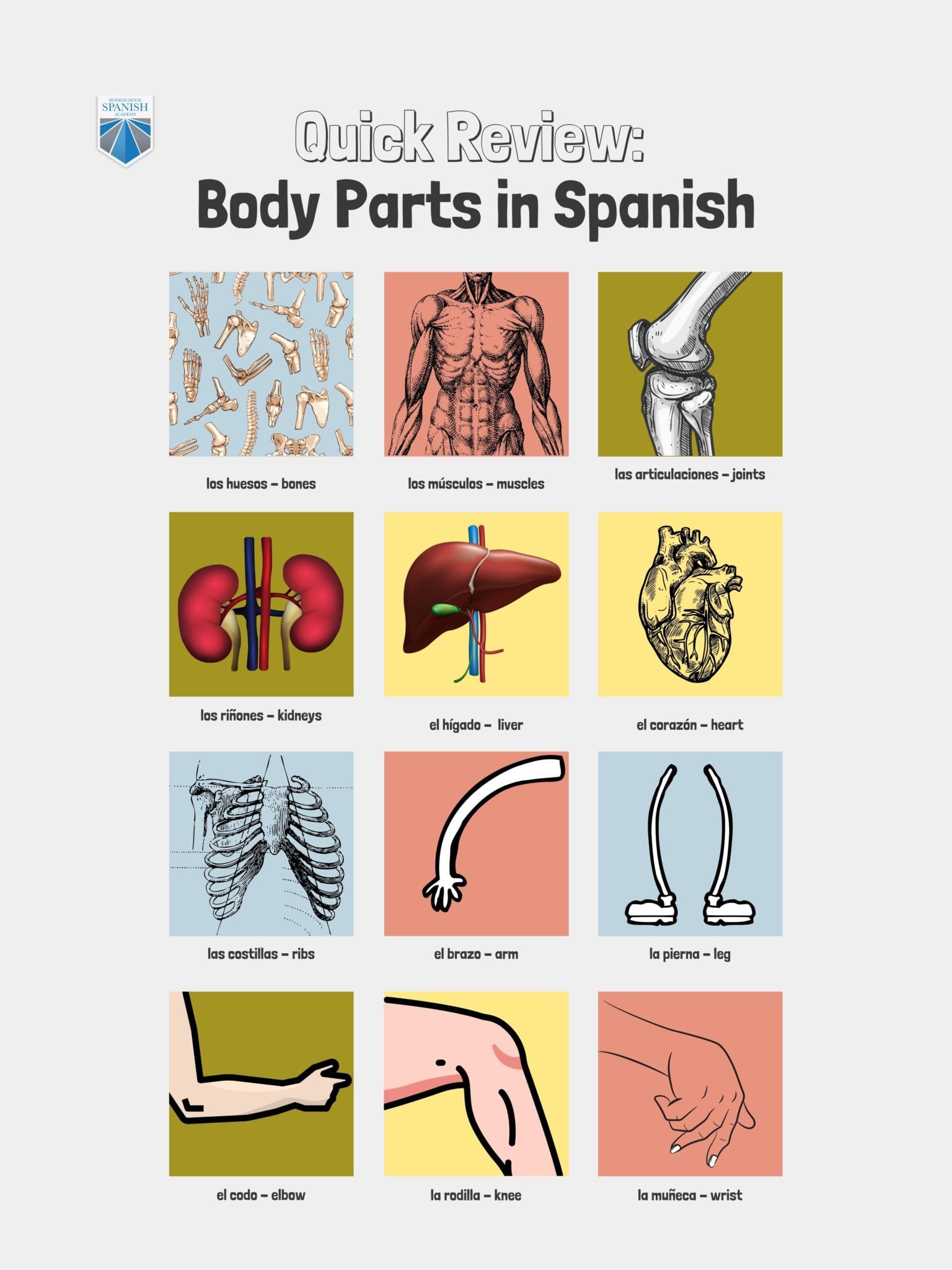 At the Pharmacy in Spanish: Useful Vocabulary Guide