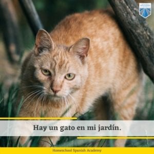 What Does 'Hay' Mean in Spanish? (And When to Use 'Está' Instead)