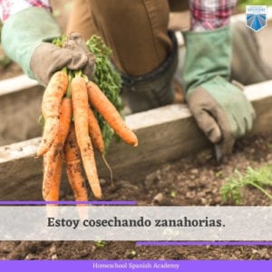 Gardening Tips and Ideas (Free Spanish Lessons for Kids)