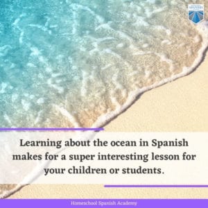 Exploring Ocean Animals (Free Spanish Lessons for Kids)