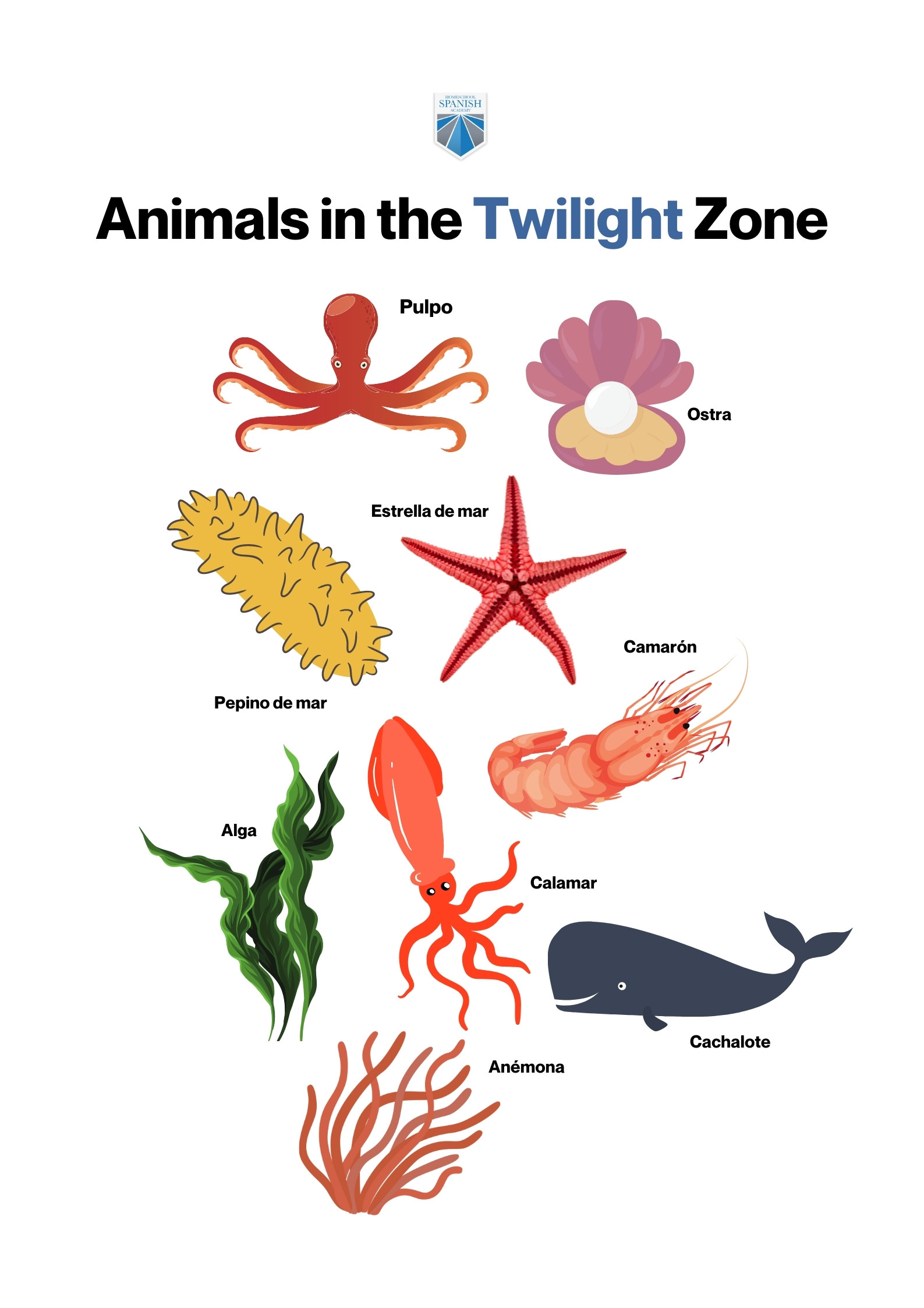 Exploring Ocean Animals (Free Spanish Lessons for Kids)