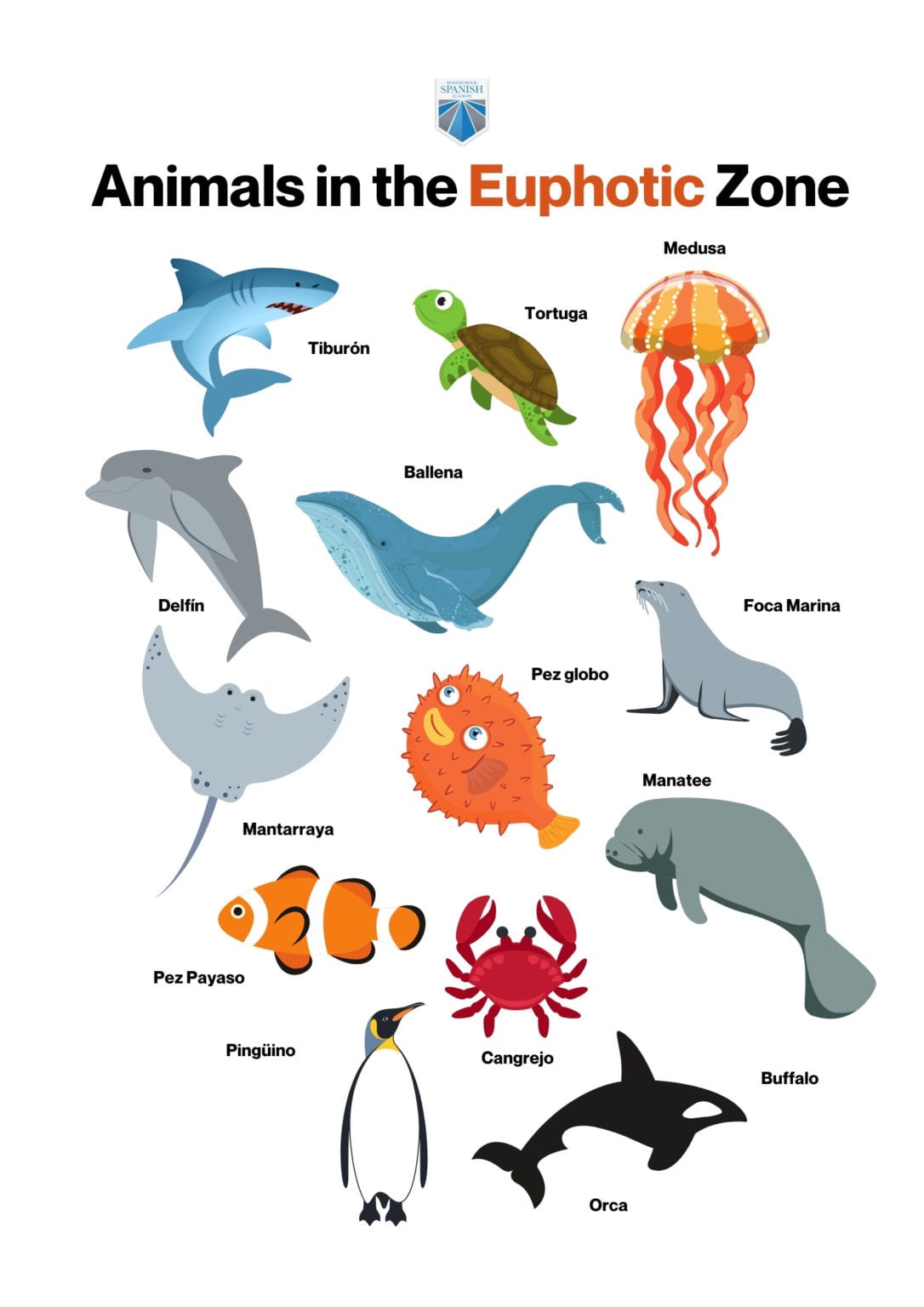 Exploring Ocean Animals (Free Spanish Lessons for Kids)