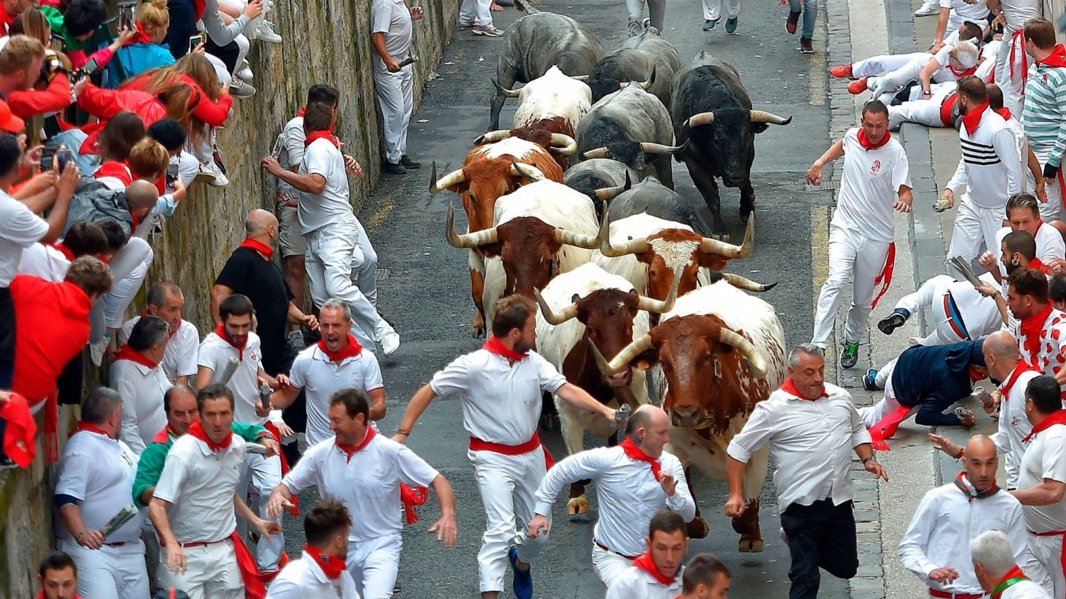 The History and Purpose of Pamplona's Running of the Bulls