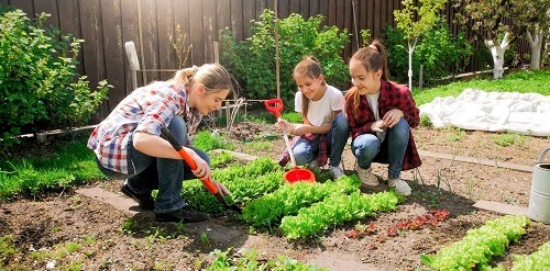 Gardening Tips and Ideas (Free Spanish Lessons for Kids)