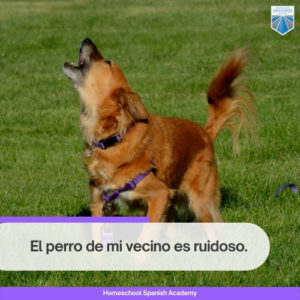 Exploring My Neighborhood (Free Spanish Lessons for Kids)