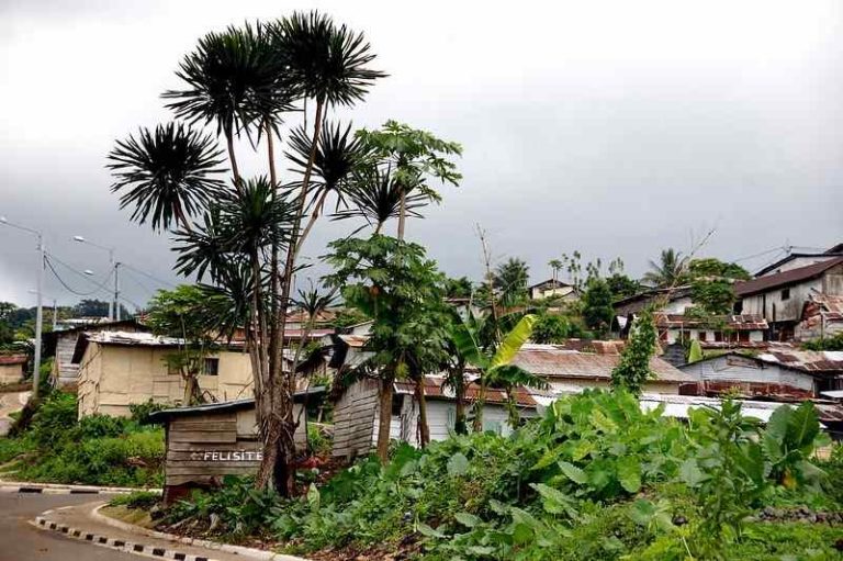 Spanish Colonization of an African Nation: Equatorial Guinea