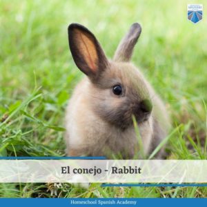 A-Z: Beginner Spanish Word Lists for Kids + Free Flashcards