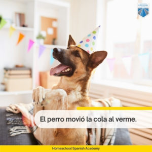 Mover vs Mudar: What's the Difference Between These Two Spanish Verbs?