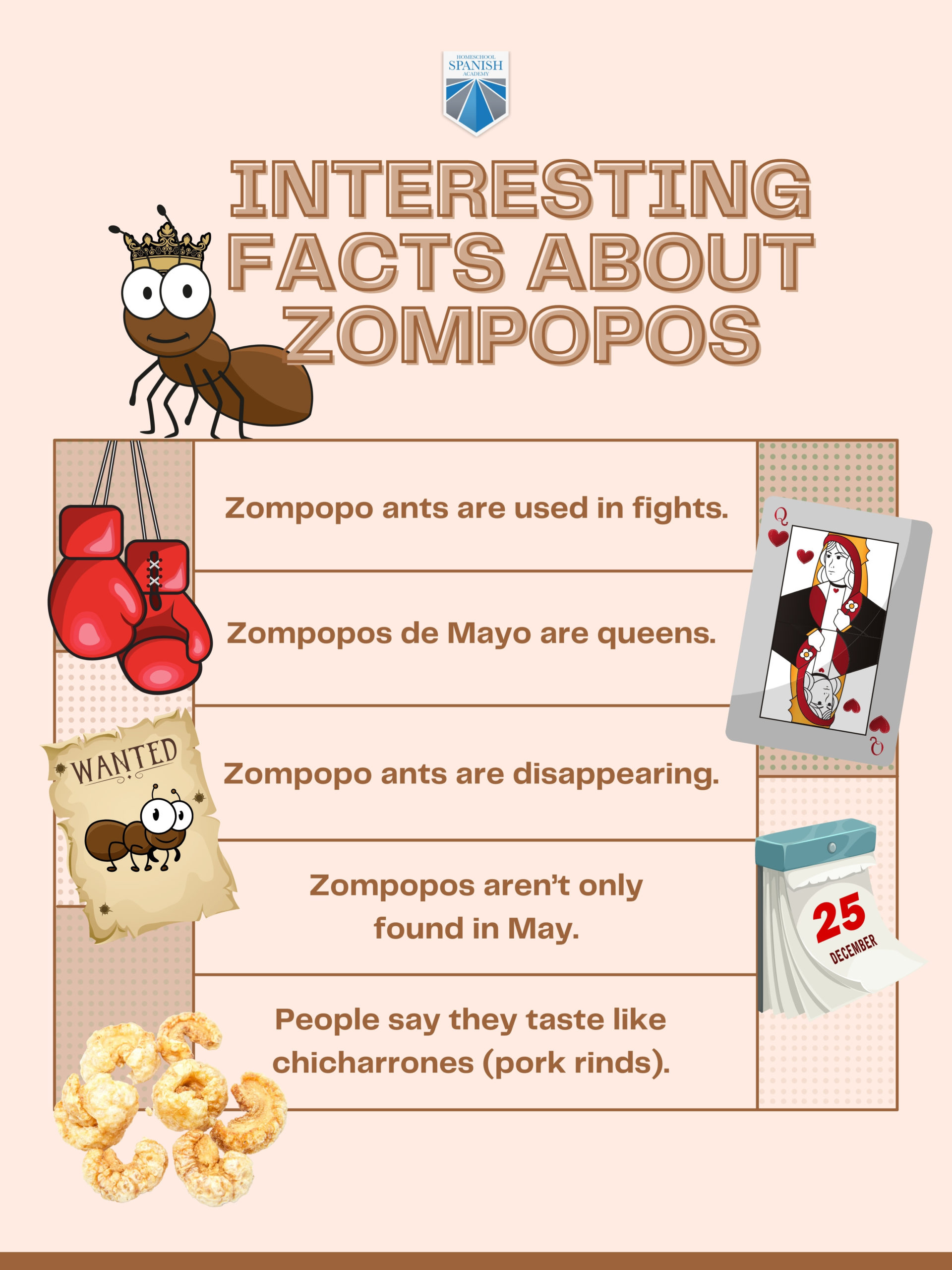 Zompopos de Mayo: Insect (and Food!?) of Latin America