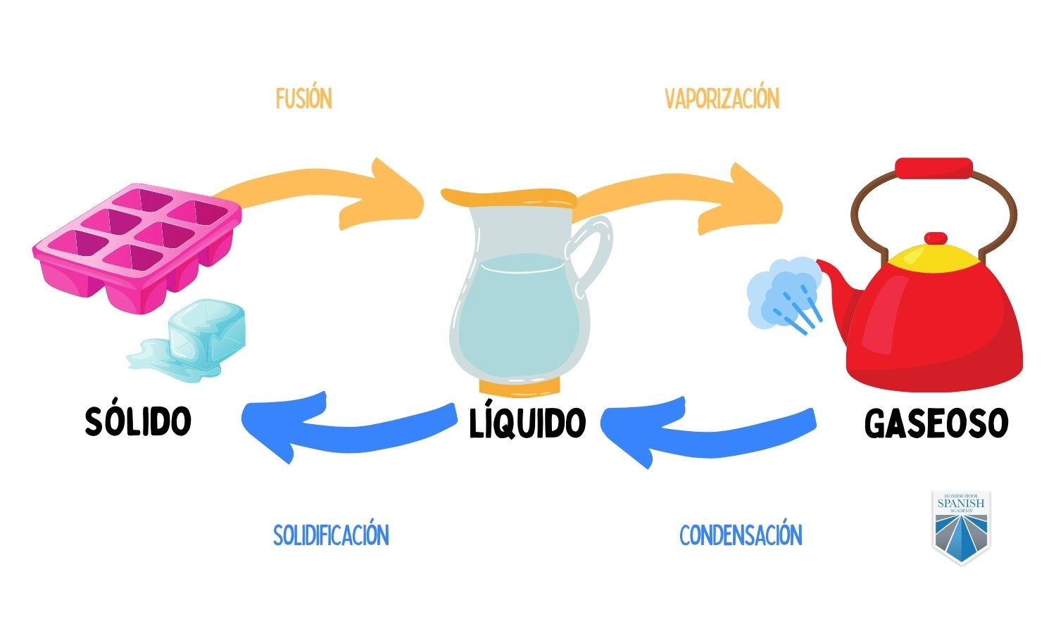 The Water Cycle (Free Spanish Lessons for Kids)