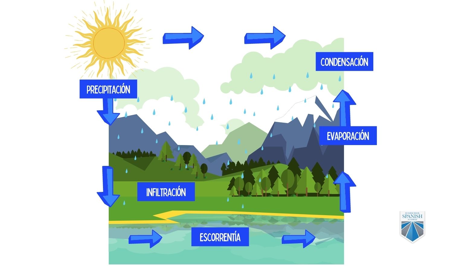 The Water Cycle (Free Spanish Lessons for Kids)