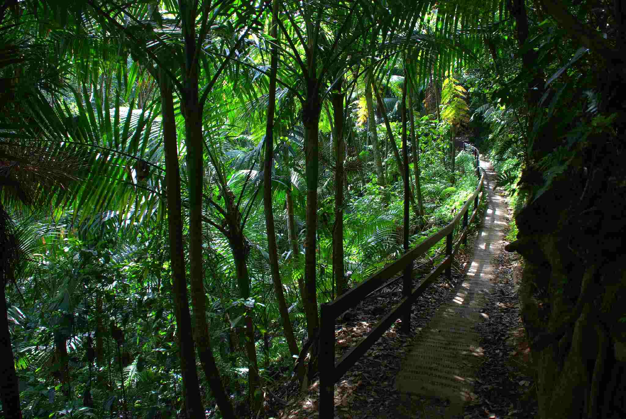 The Fascinating History and Culture of Puerto Rico