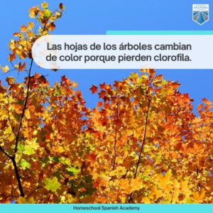 The Ultimate Guide to Autumn Vocabulary in Spanish