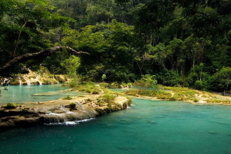 7 Breathtaking Rainforest Destinations to Explore in Guatemala