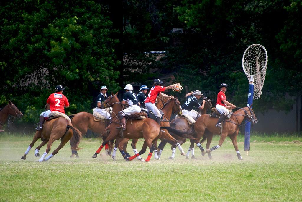 9 Quirky Facts About Pato: Argentina's National Sport