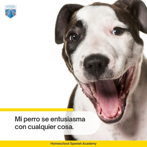 How to Use Spanish Verbs with Prepositions ‘Con,’ ‘En,’ and ‘Por’