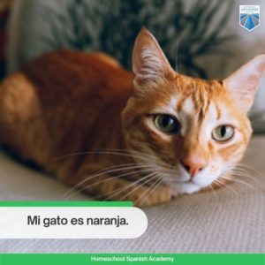 10 Creative Ways to Practice Your Spanish Writing Skills