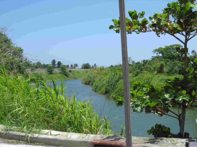 10 Surprising Facts About Barceloneta, Puerto Rico