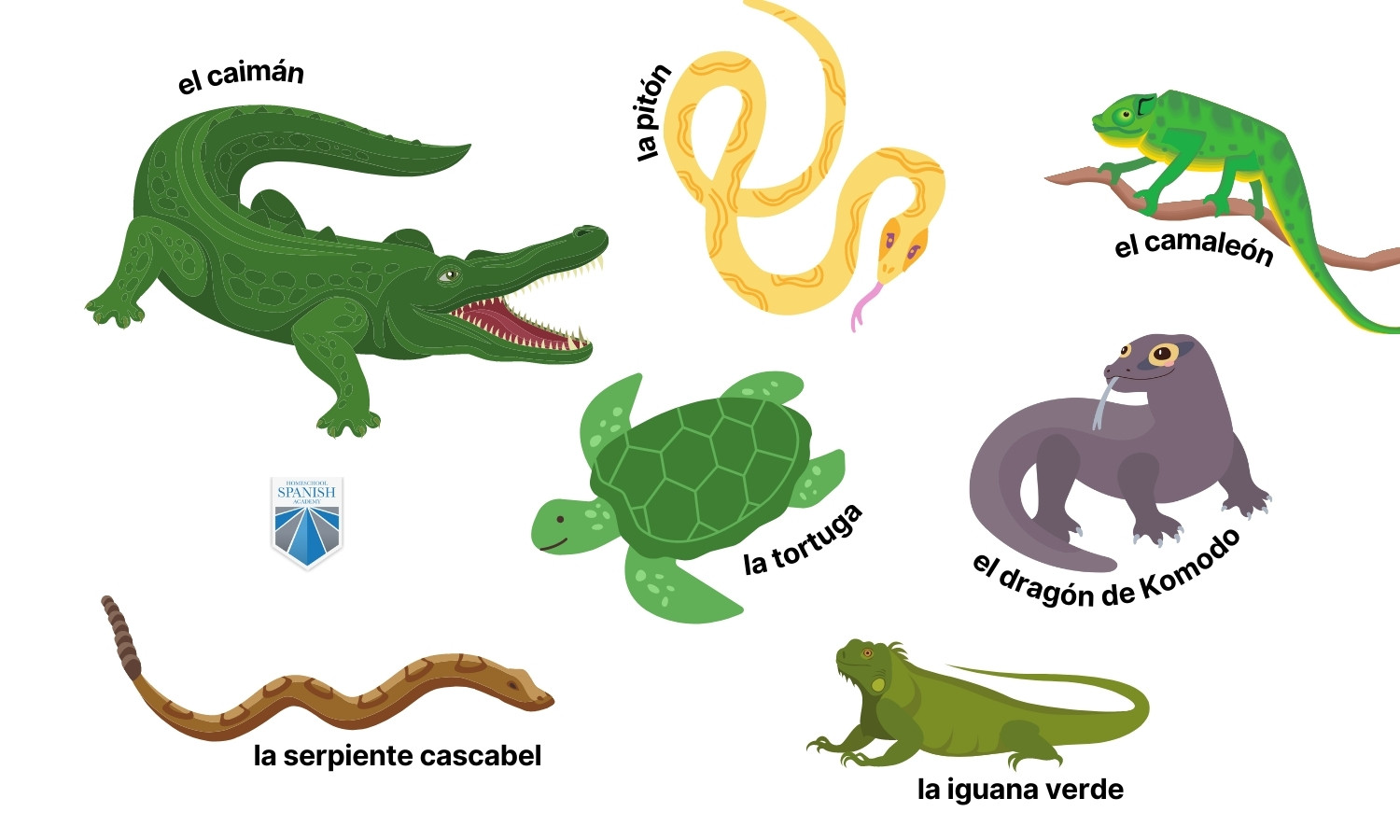 All About Vertebrate Animals (Free Spanish Lessons for Kids)