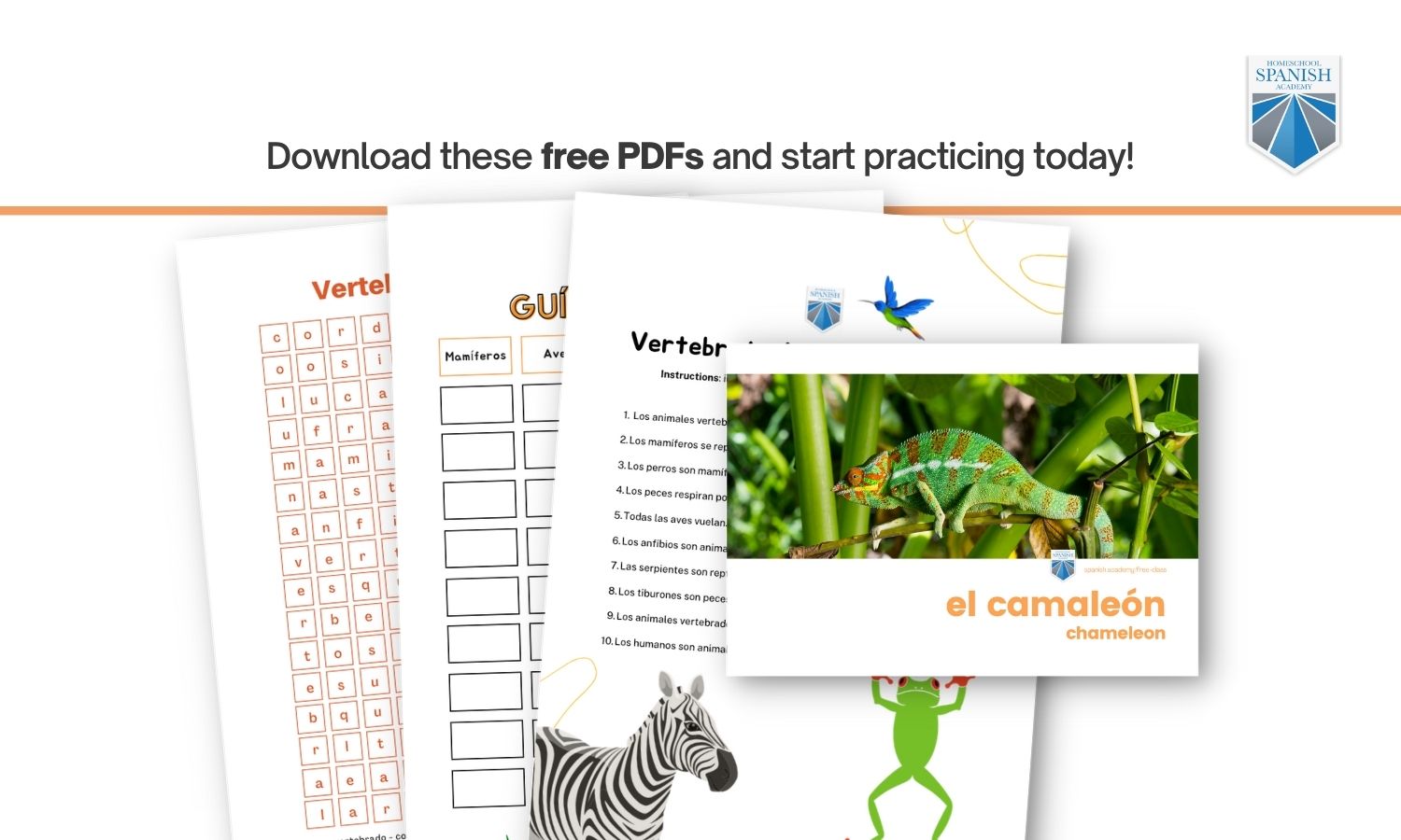 All About Vertebrate Animals (Free Spanish Lessons for Kids)