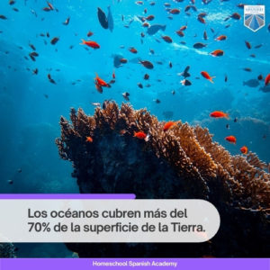 Understanding Biomes and Habitats (Free Spanish Lessons for Kids)