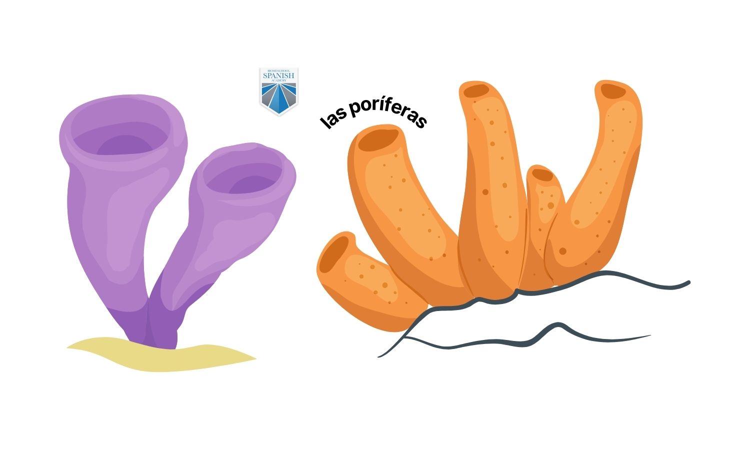 Learn About Invertebrate Animals (Free Spanish Lessons for Kids)