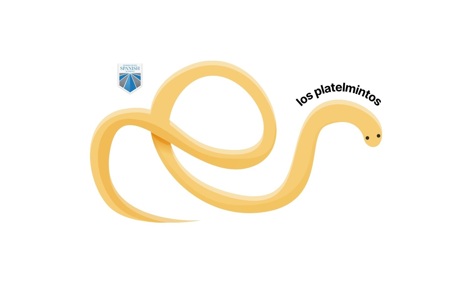 Learn About Invertebrate Animals (Free Spanish Lessons for Kids)