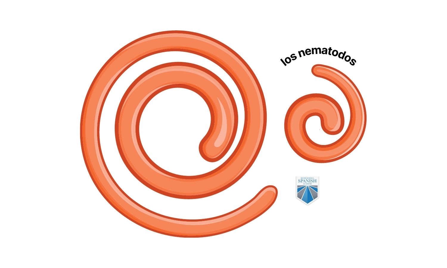 Learn About Invertebrate Animals (Free Spanish Lessons for Kids)