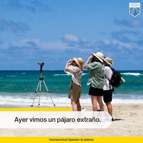 Easy Guide To Spanish Irregular Verb Conjugation