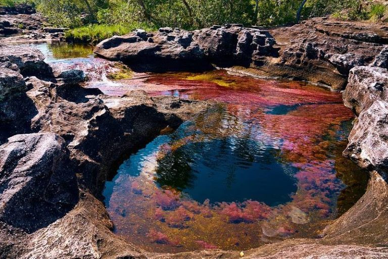 Colombia’s Liquid Rainbow: Cano Cristales the “River of Five Colors”
