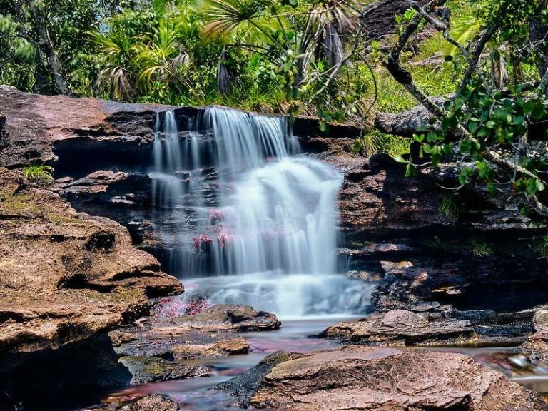 Colombia’s Liquid Rainbow: Cano Cristales the “River of Five Colors”