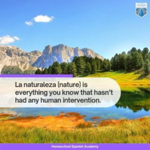 Nature Printables and Activities (Free Spanish Lessons for Kids)
